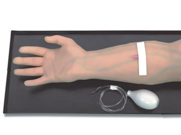 Simulaids Deluxe IV Training Arm | Life-Assist