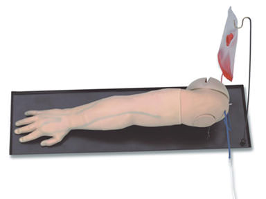 Simulaids Deluxe IV Training Arm | Life-Assist